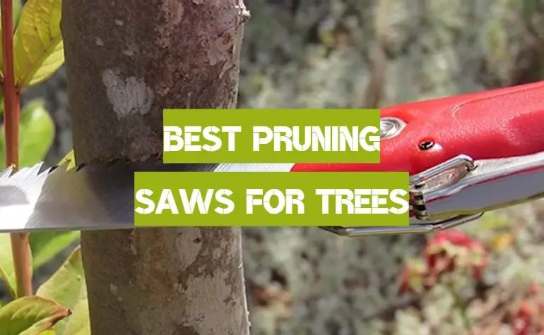 Top 10 Best Pruning Saws for Trees [2021 Review] - Polesawguide