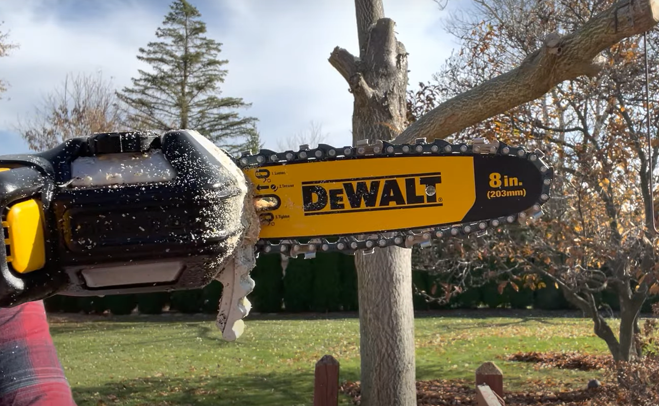 Dewalt DCPS620B Review in February 2025 - PoleSawGuide