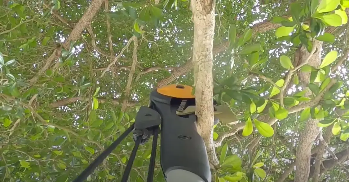 Fiskars Pole Saw Blade Replacement: What to Do? - PoleSawGuide