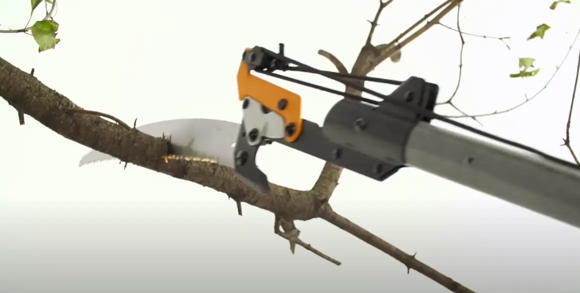 How to Use a Pole Pruner? - PoleSawGuide